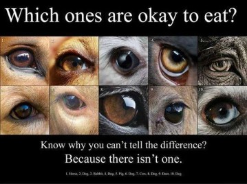 All Lives Matter | Engineering WellnessEngineering Wellness